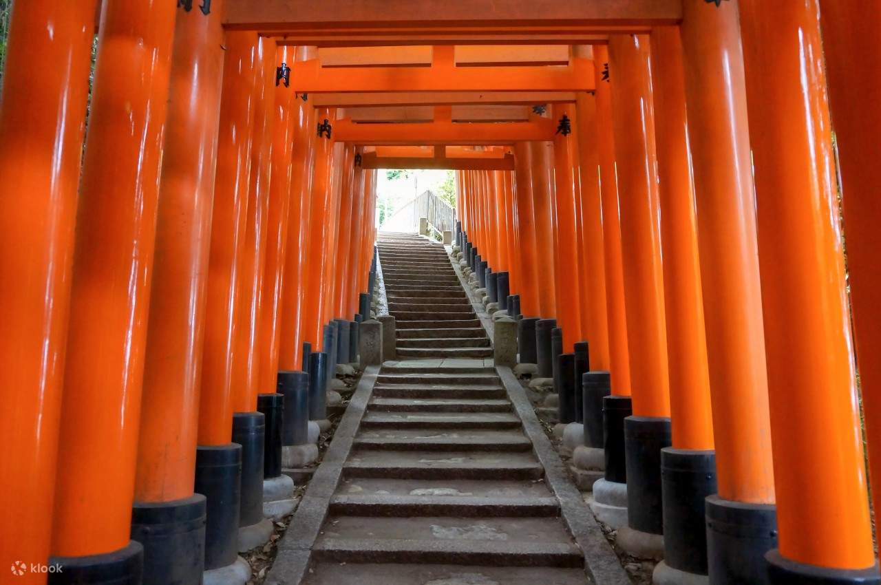 [Kyoto & Nara & Uji Day Trip] Nara Park's Adorable Deer & Fushimi Inari ...